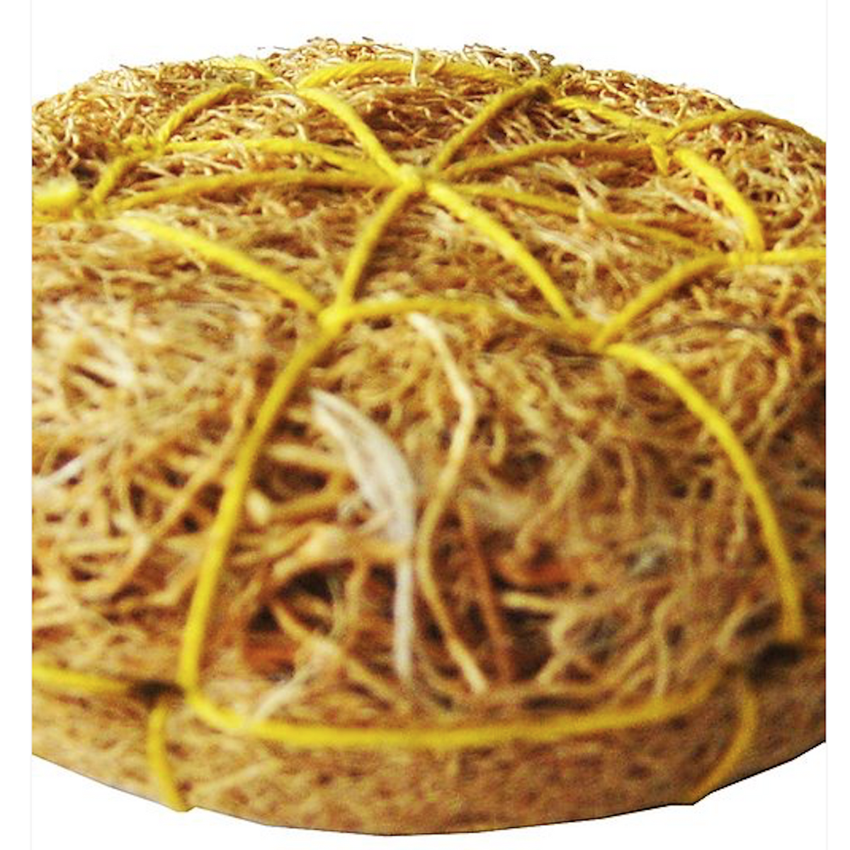 Exfoliating Sponge - Vetiver Root – Heirloom 142